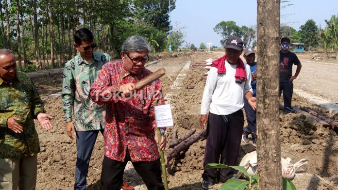 Prof. Agus Pakpahan: Membangun Pangan dan Pertanian dengan Berguru pada ...